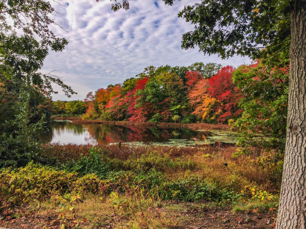 Scenic Shots – HouseofWinsor.com